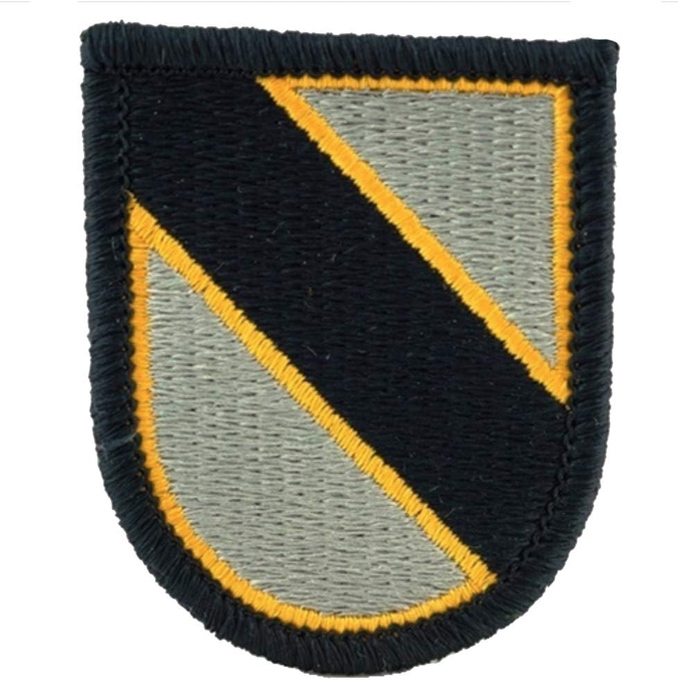 Amazon.com: U.S. Army Futures Command Beret Flash (Military Issued ...
