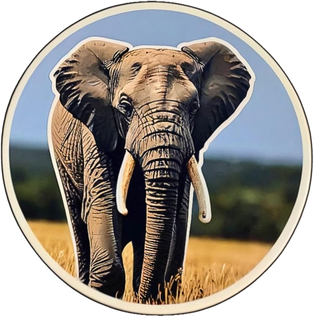 Amazon.com - 3 Pcs Elephant Stickers 3in, Gifts for Water Bottles ...