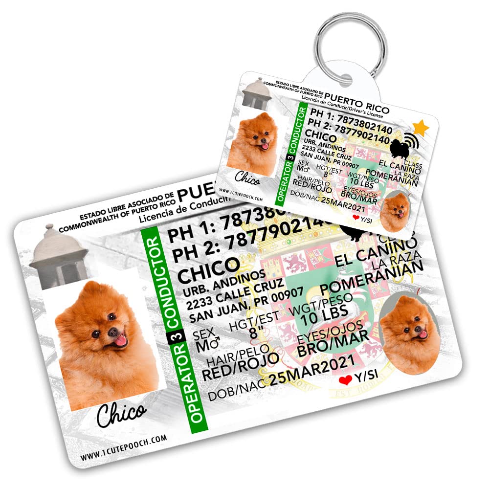 Dibujo De Placas De Identificación Para Perros 001 Placas De