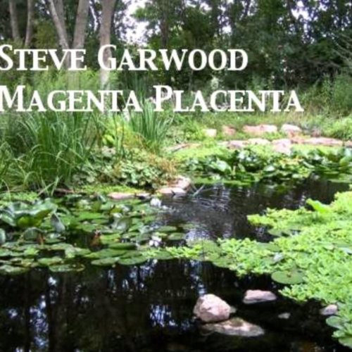 Play Mr. Cloud by Steve Garwood on Amazon Music
