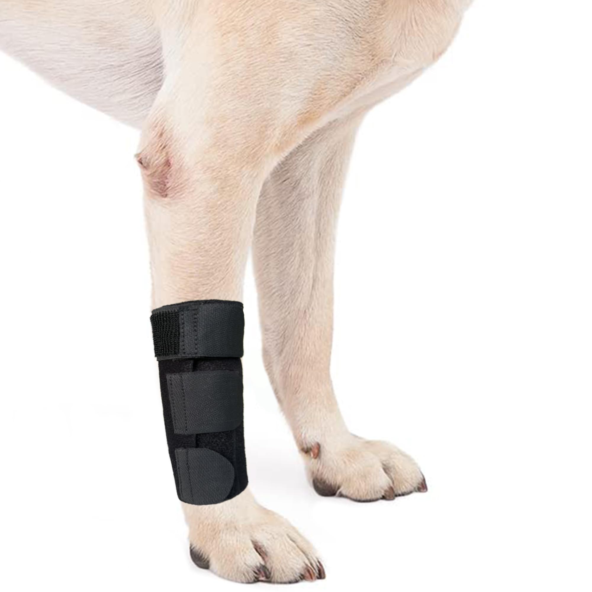 Amazon.com : GenetGo Dog Canine Front Leg Brace Paw Compression Sleeve ...