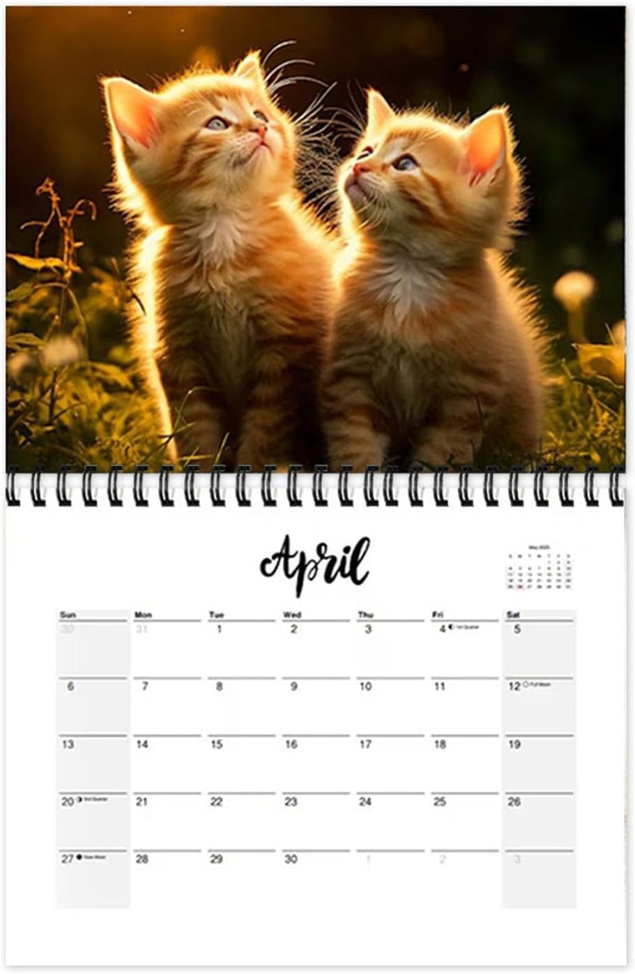 Funny Wall Calendar 2025,Cute Kitten Monthly Wall Calendar | 2025 ...