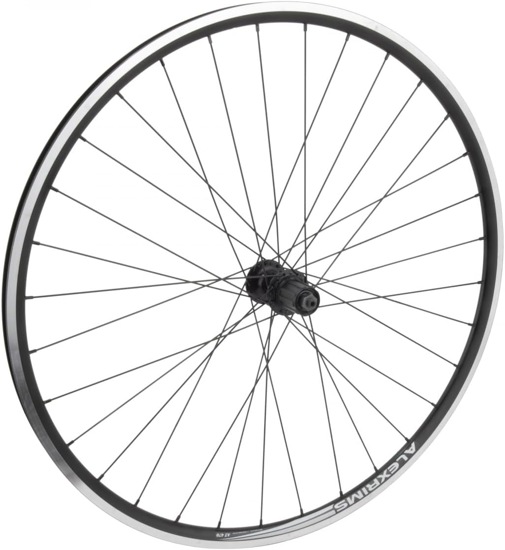 Amazon.com : Wheel Master 700C Alloy Road Double Wall 700C RR Alex ...
