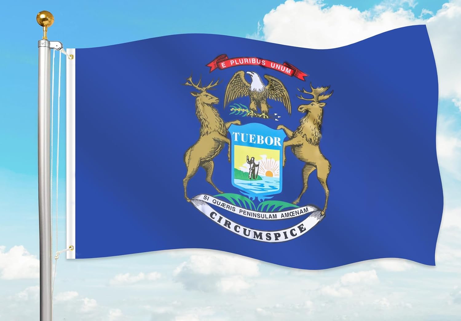 Amazon.com : Michigan state flag 3x5 Ft Outdoor Heavy Duty,Michigan ...