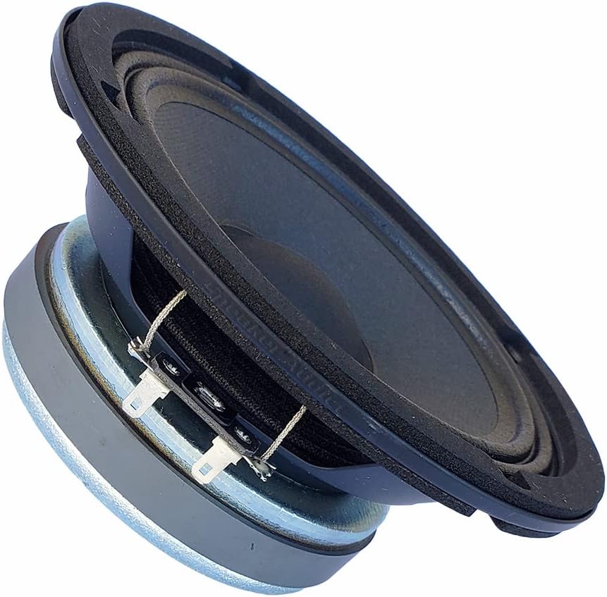 Amazon.com: Faital Pro 6FE200-8 6-inch Professional Midrange ...