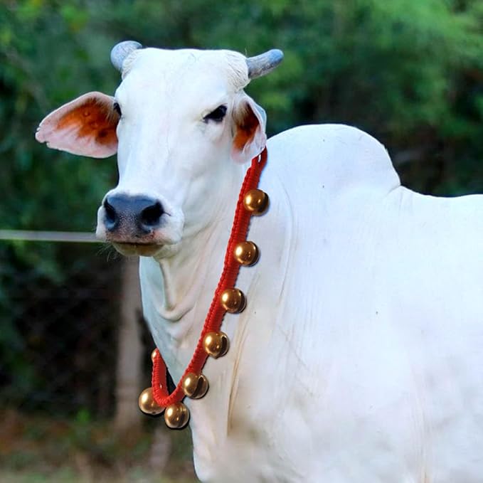 Buy Cow/Bull Halter Nylon Rope,Leash,Cow Cord,Cow Collar Charm,Cow Belt ...