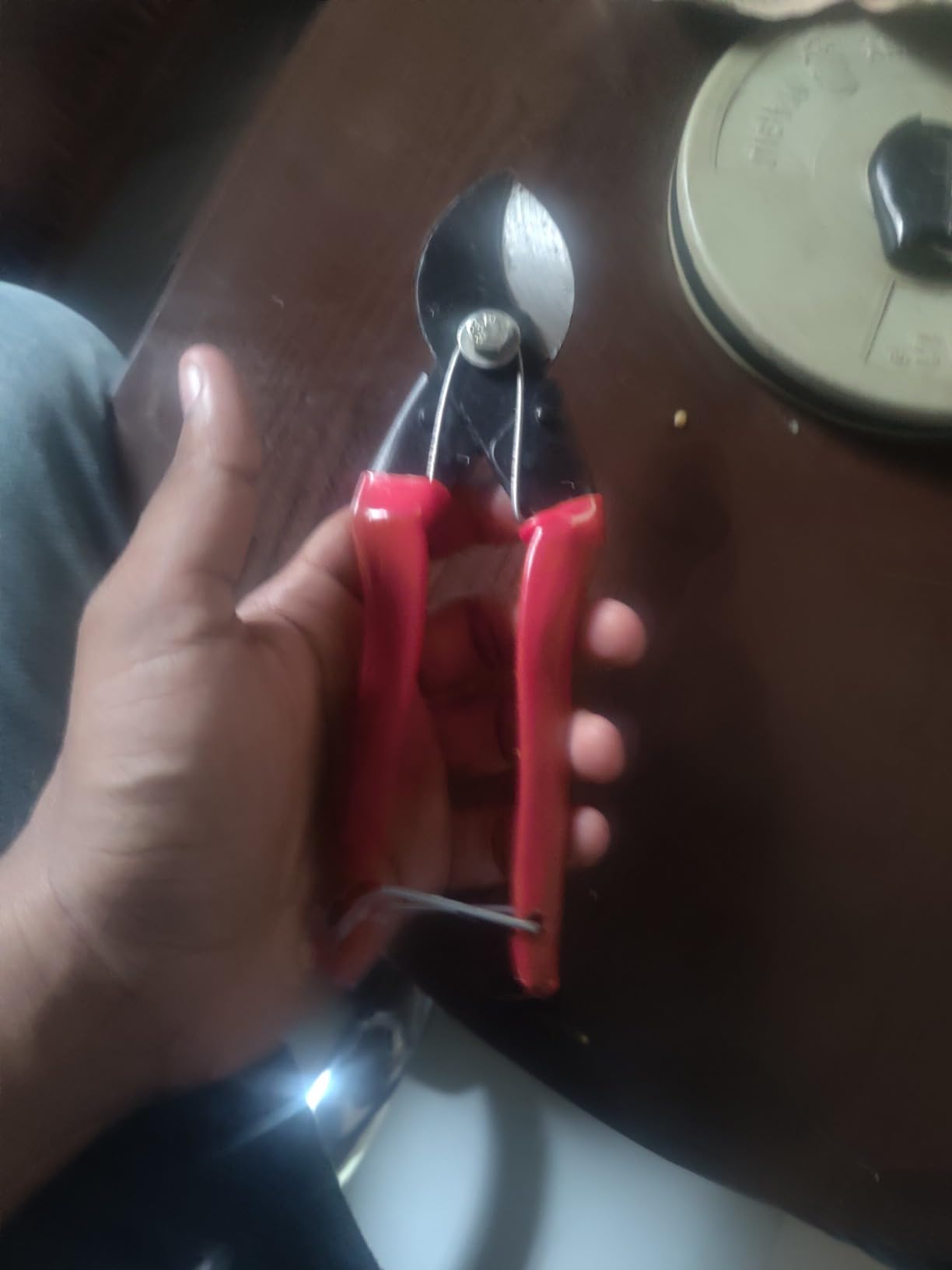 GROWTOP Heavy Duty Plant Cutter| Garden Scissors| Pruner Cutter, Super ...