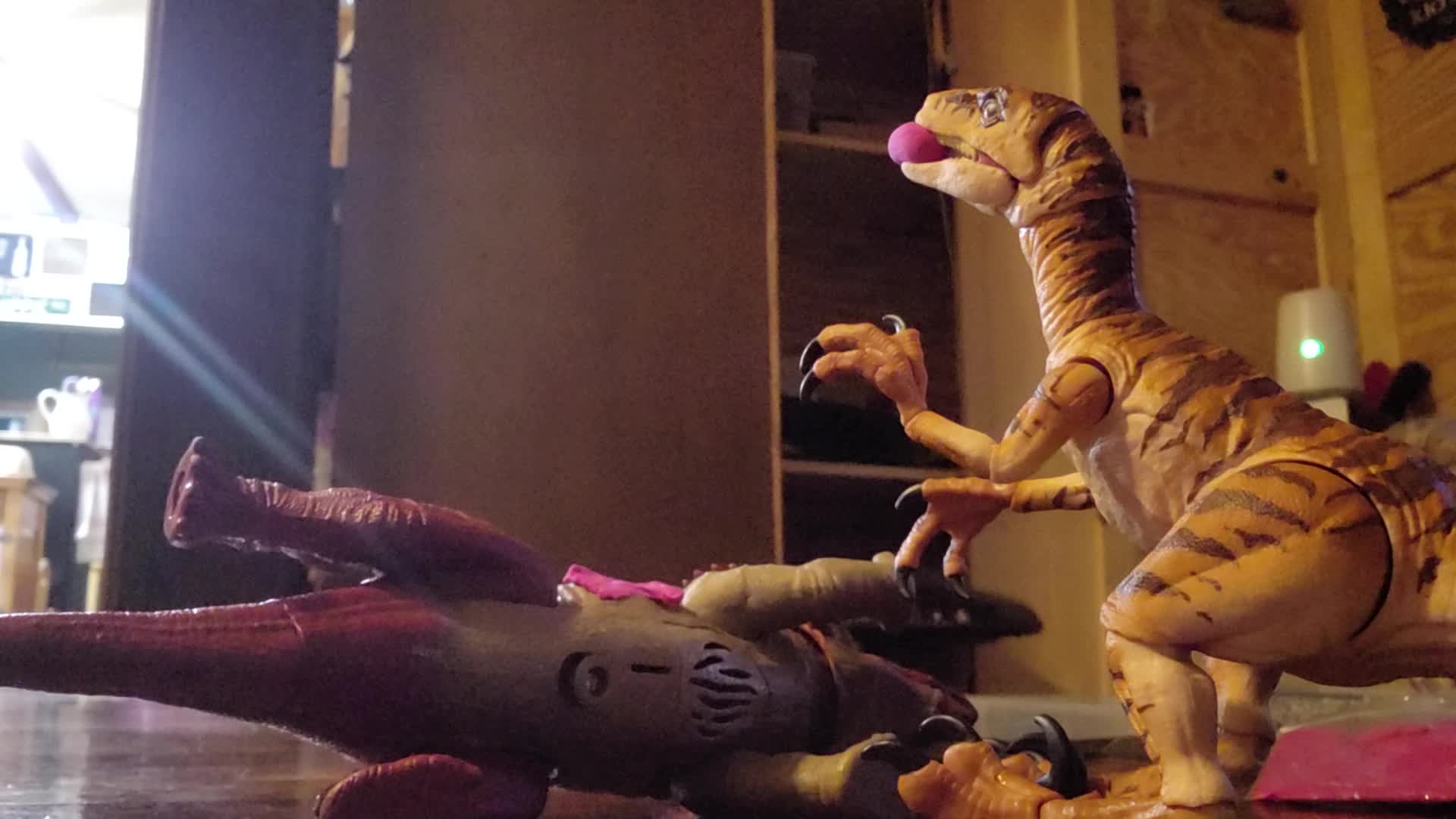 Watch Best toy ever! on Amazon Live