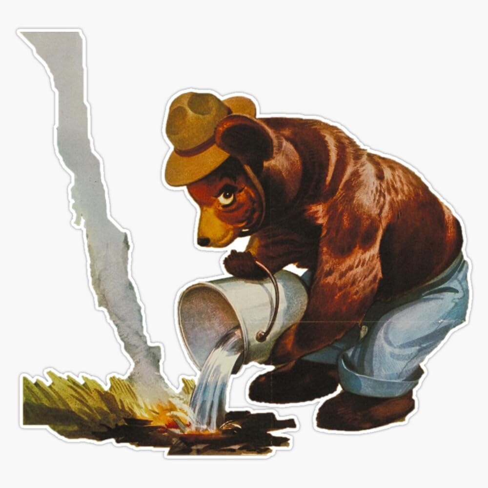 Bear Smokey Prevent Forest Fires Sticker Bumper Sticker Vinyl Decal 5"