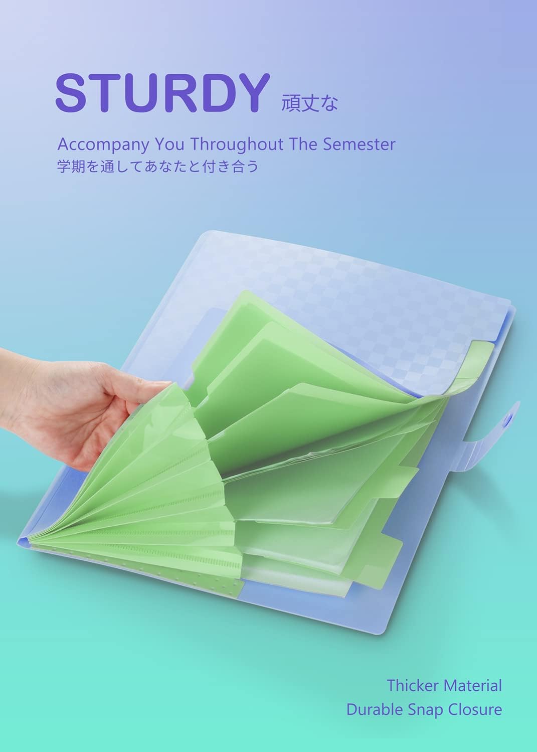 Buy ThinkTex Cute Folder for School with 7 Pockets, Portable File ...