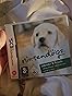Nintendogs - Labrador & Friends : Amazon.de: Games