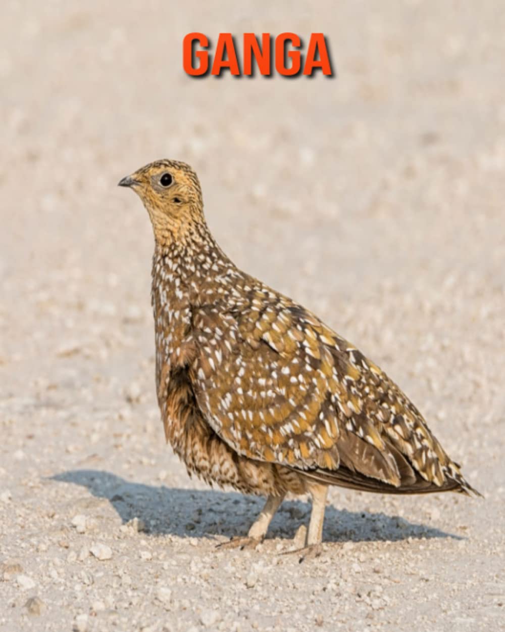 Buy Ganga: Libro para niños con imágenes asombrosas y datos curiosos ...