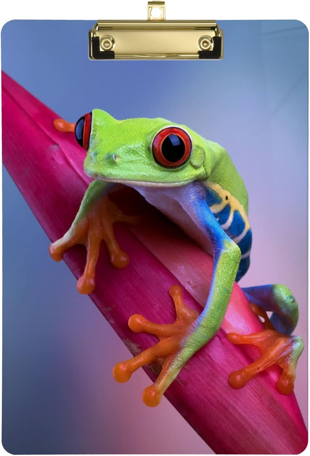 Amazon.com : susiyo Red-Eyed Tree Frog Clipboard, 2.5mm PVC Board for ...