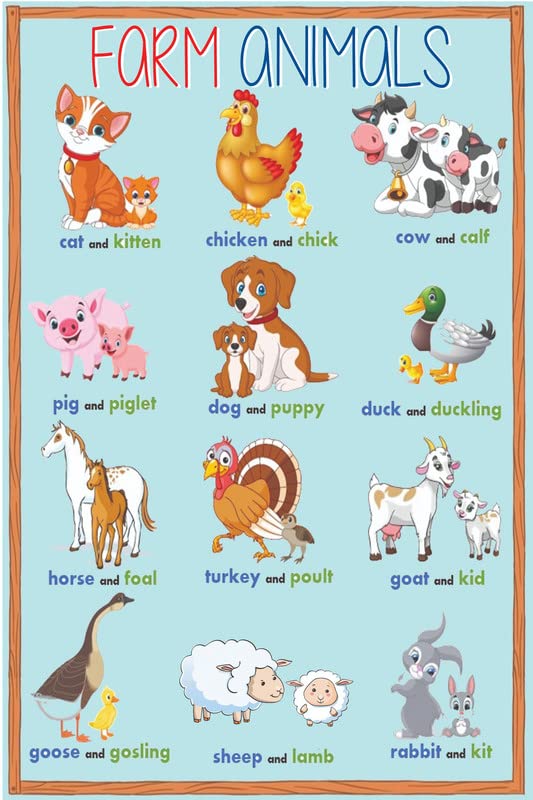 Kids Early Learning Poster For Wall Decoration|Farm Animals Wall Poster ...