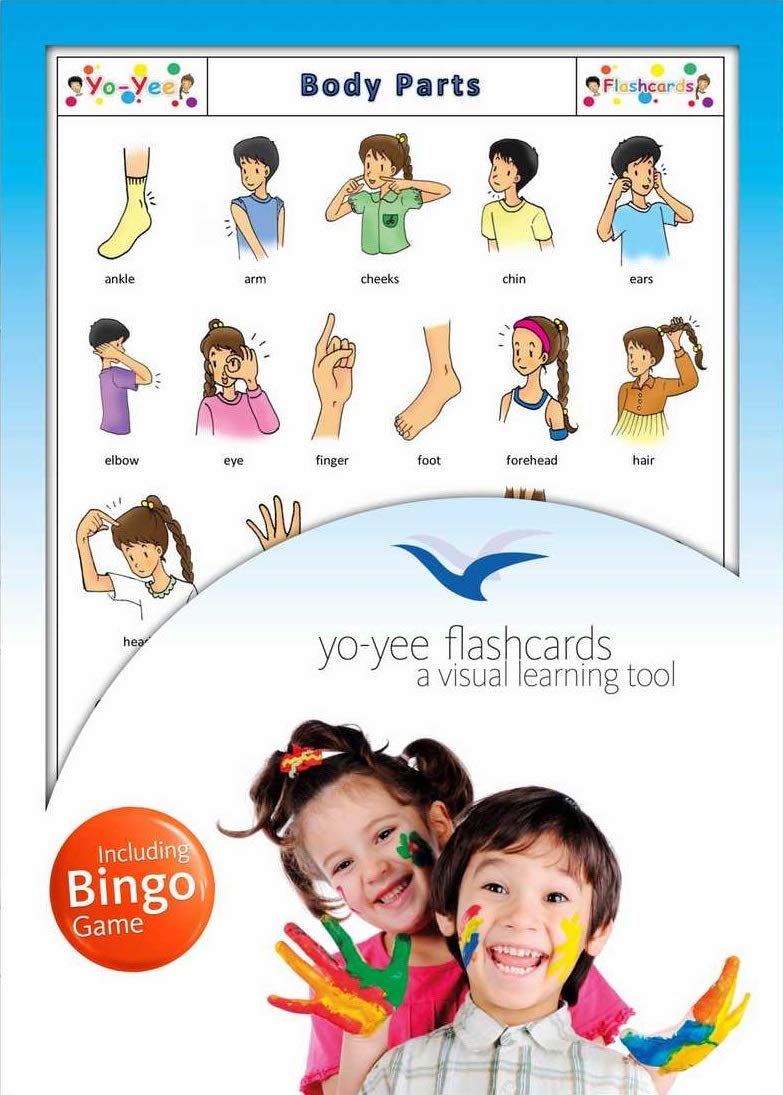 Buy Yo-Yee Flashcards - Body Parts Flash Cards in English with Matching ...