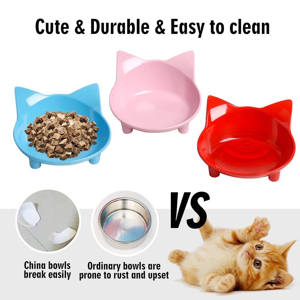 Chinese Cat Dishes