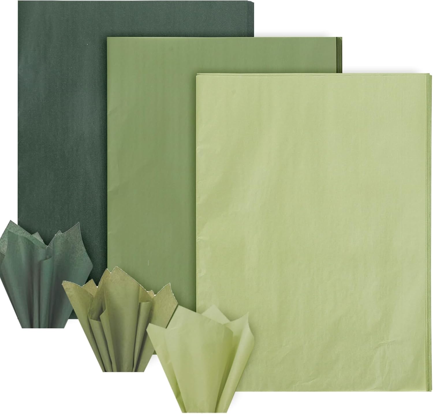 Amazon.com: Whaline 90 Sheet Sage Green Tissue Paper Assorted Gradient ...