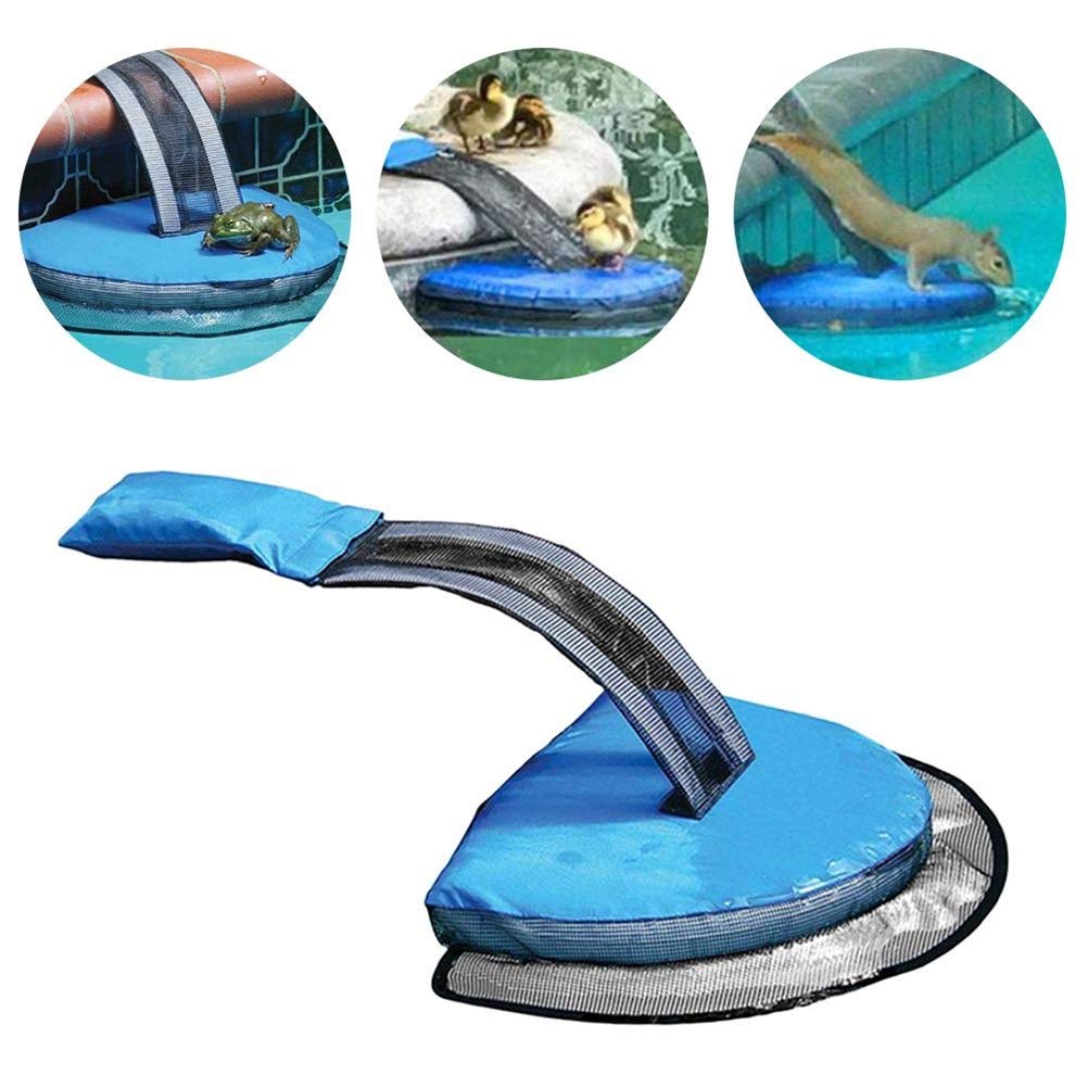 Buy Animal Saving Escape Ramp, Swimming Pool Critter Saving Escape Ramp ...