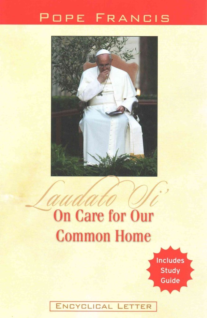 On Care for Our Common Home: The Pope's New Encyclical Letter: Amazon ...