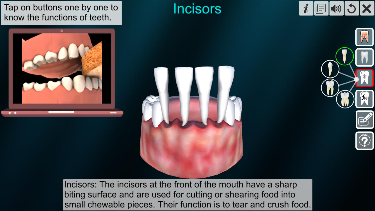 Incredible Human Teeth - App on Amazon Appstore