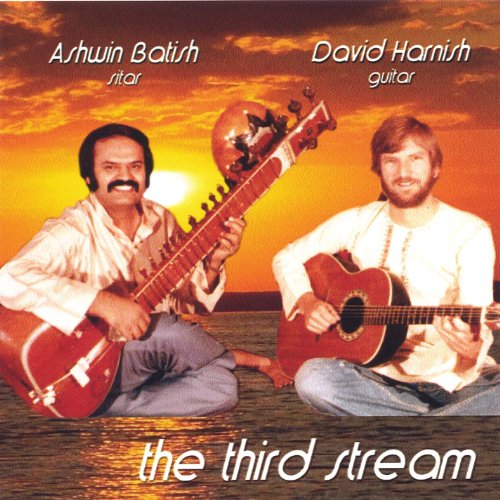 Amazon.com: The Third Stream - Sitar and Guitar Jugalbandi : Ashwin ...