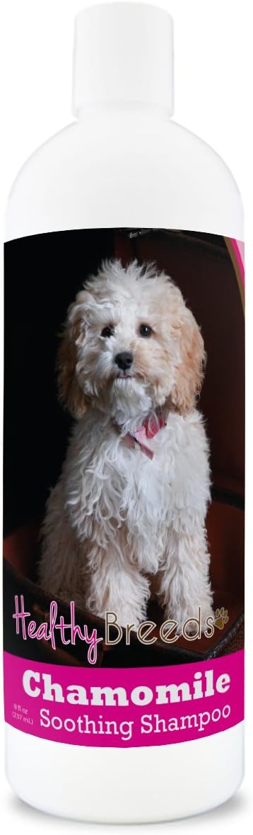 Amazon.com: Healthy Breeds Cockapoo Chamomile Soothing Dog Shampoo 8 oz