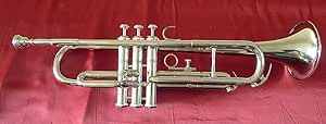 Amazon.com: Tristar Band Certified B Flat Trumpet + 7C MP : Musical ...