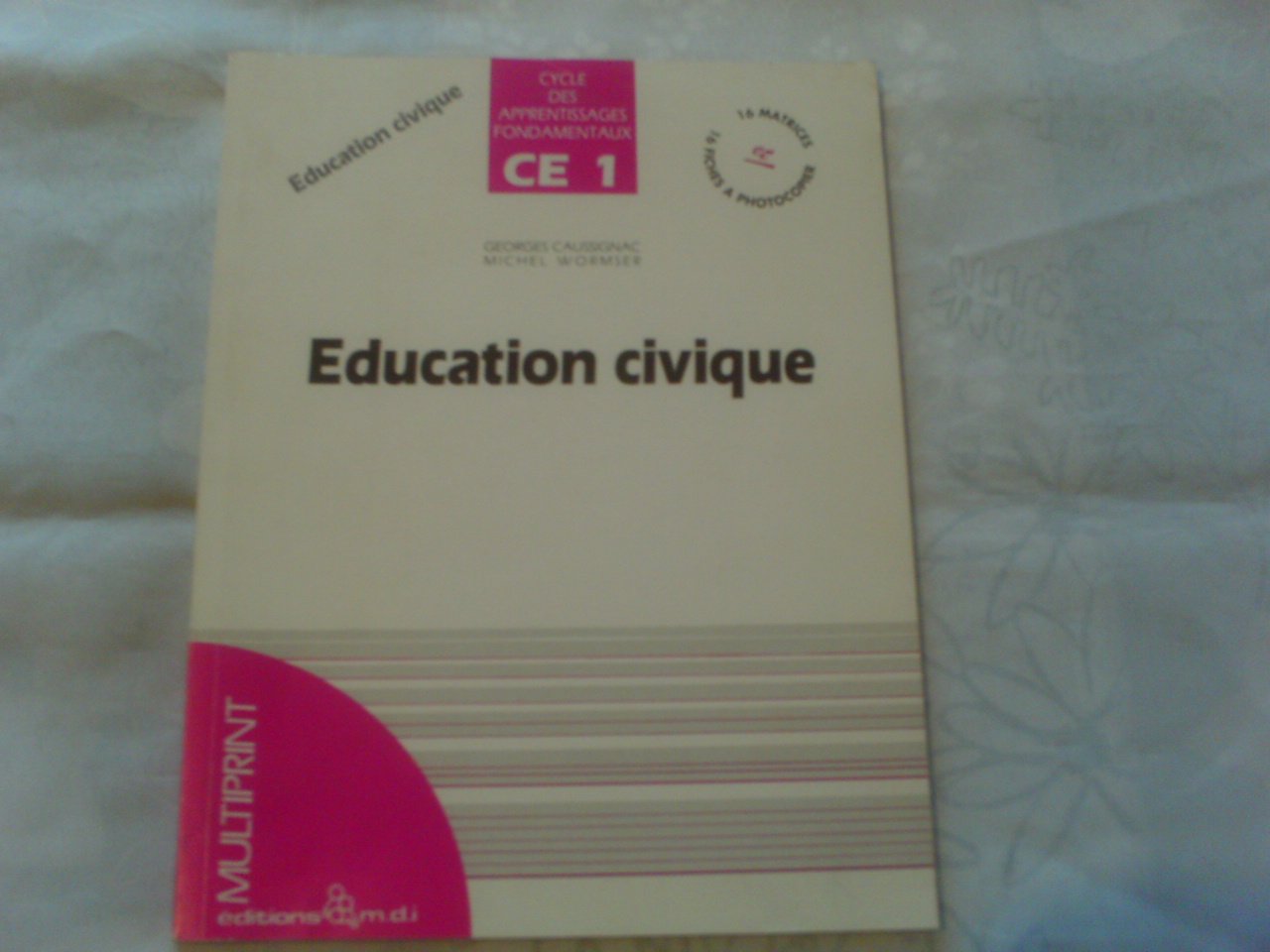 Education civique CE1. 16 matrices, 16 fiches à reproduire : Amazon.ca ...