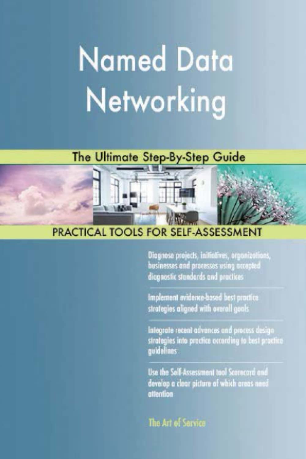 Buy Named Data Networking The Ultimate Step-By-Step Guide Book Online ...