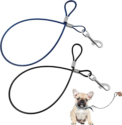 Amazon.com : 2 Pack Chew Proof Dog Leash Extension - Metal Cable Lead ...