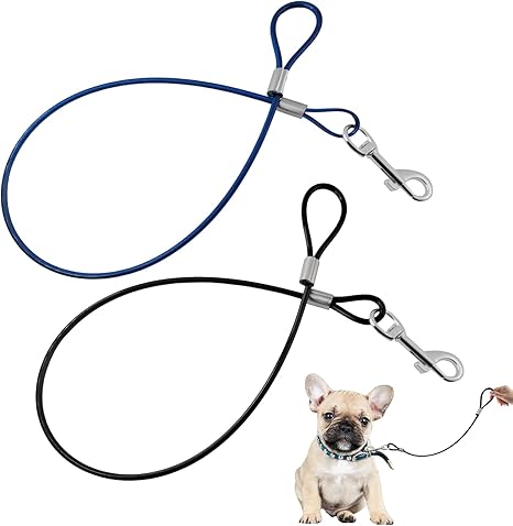 Amazon.com : 2 Pack Chew Proof Dog Leash Extension - Metal Cable Lead ...