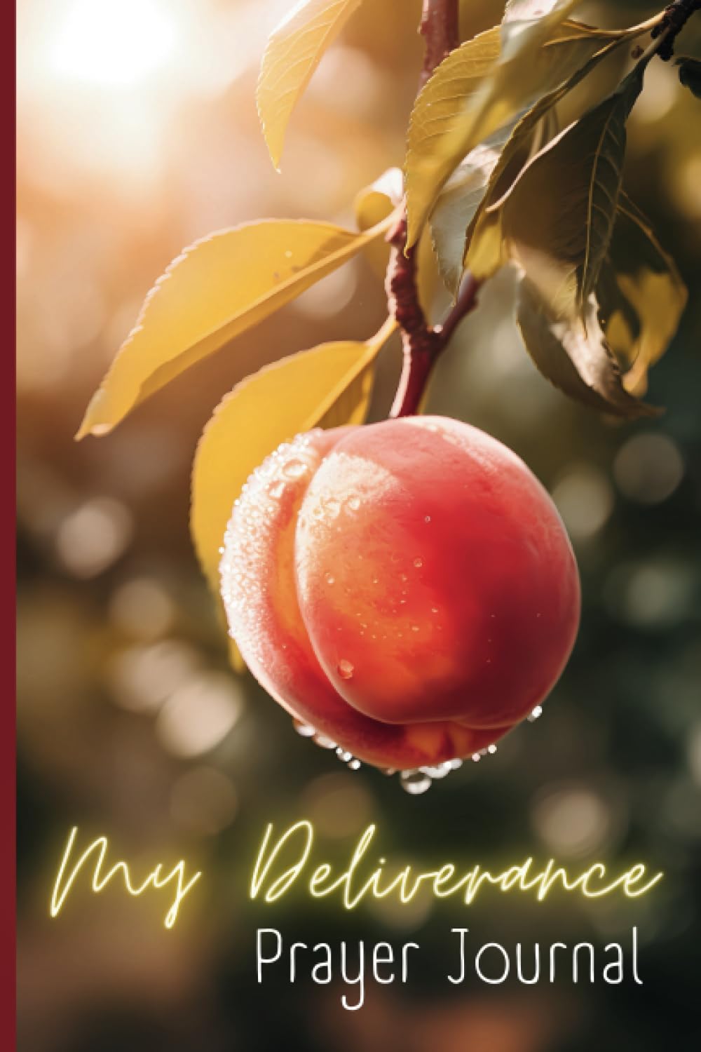 My Deliverance Prayer Journal: A Prompted Workbook for Your Freedom ...