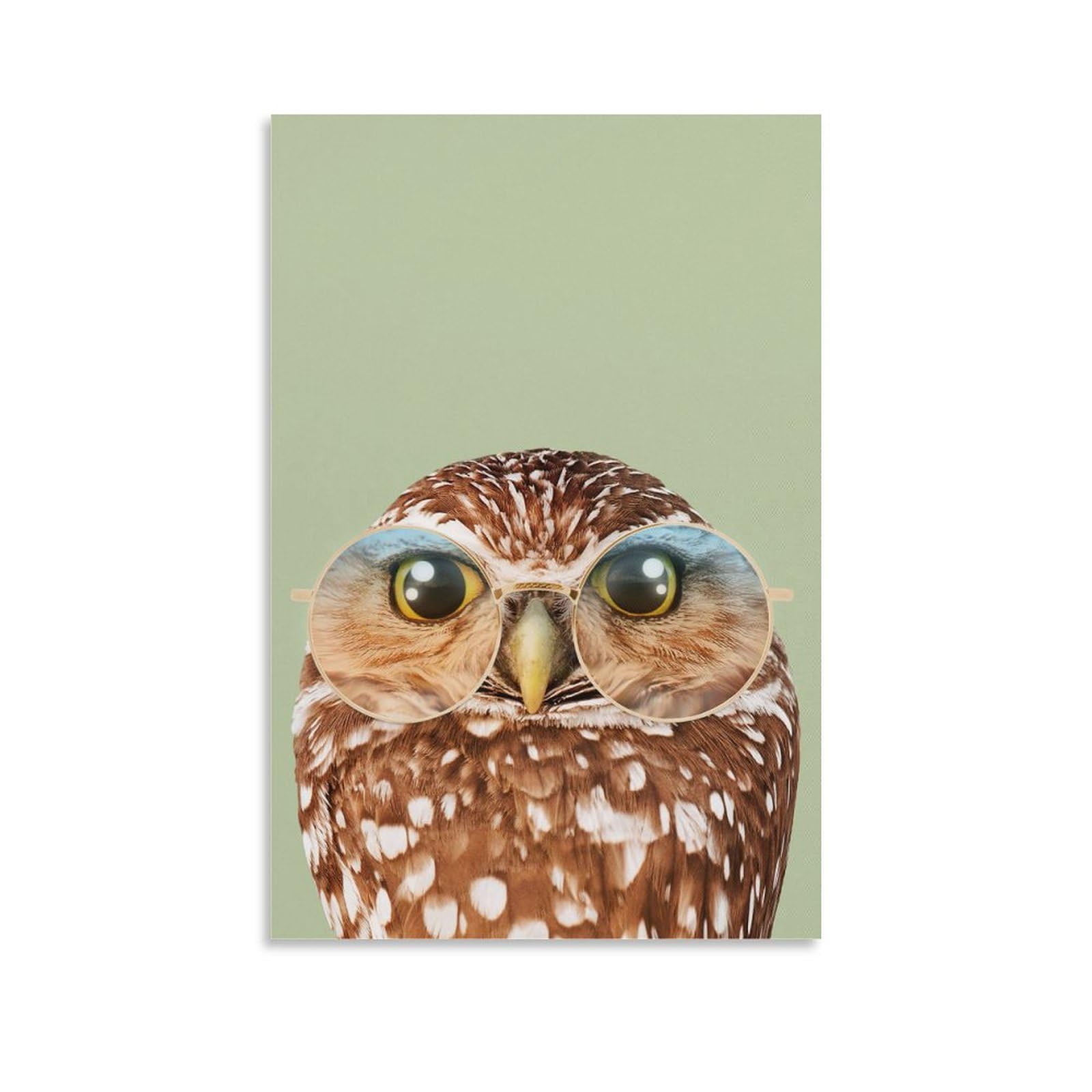 Hipster Owl Drawings