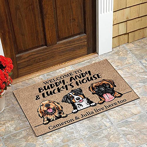 Pawfect House Product Guide: 15 Best Things to Buy from Pawfect House ...