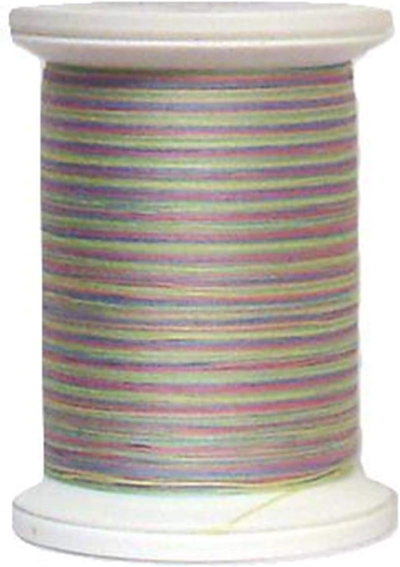 Amazon.com: YLI 24450-10V 3-Ply 40wt T-40 Cotton Quilting Variegated ...
