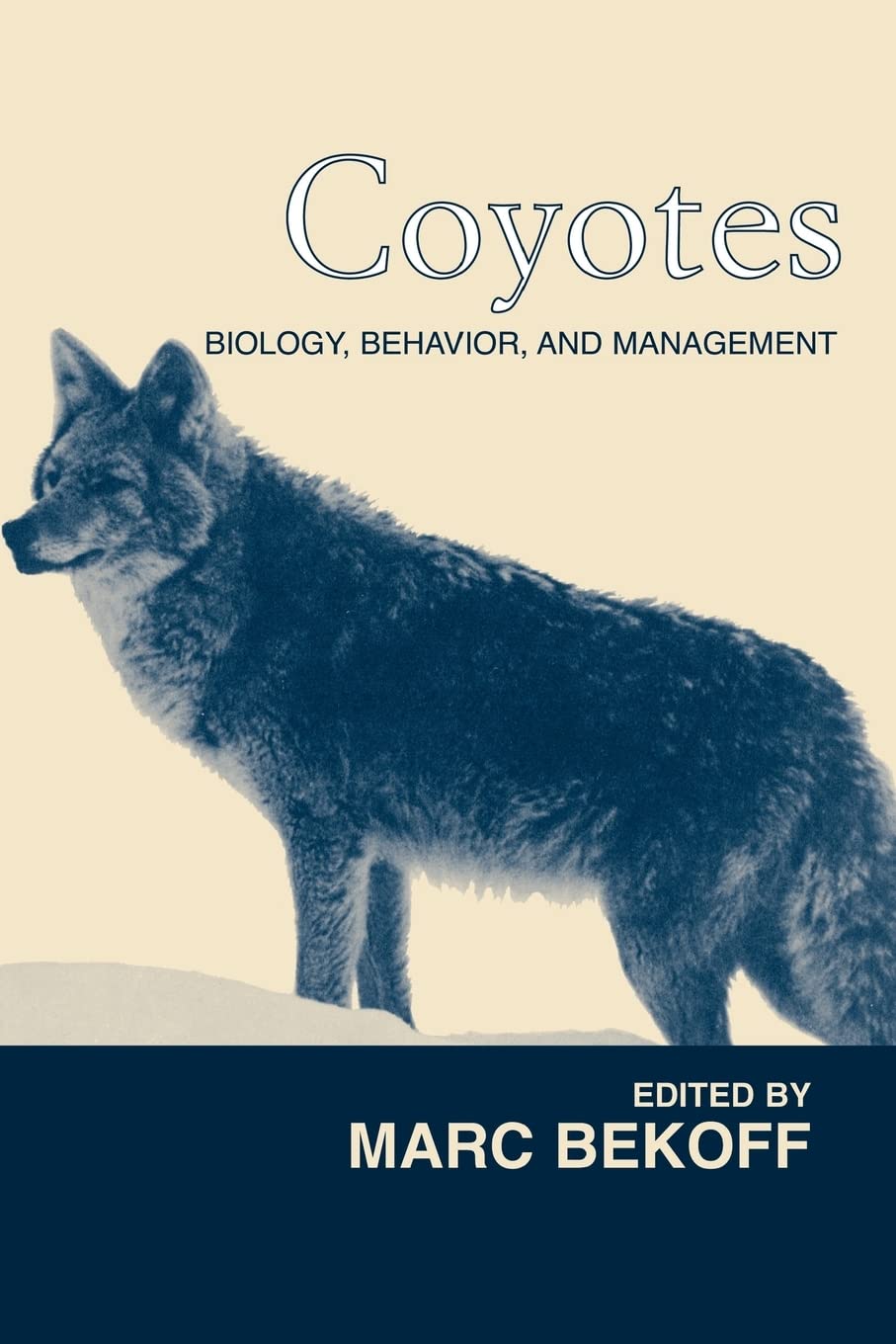 Coyotes: Biology, Behavior and Management: Bekoff, Marc: 9781930665422 ...