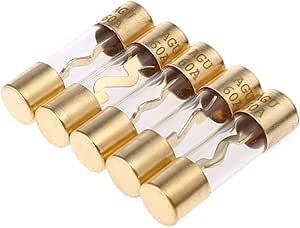 Amazon.com: ELRFSQSZF 5Pcs Gold Plated Glass AGU Fuse Fuses Pack Car ...