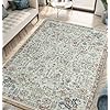 Amazon.com: Keen Home Design 3x5 Rug - Machine Washable Entry Rug with ...