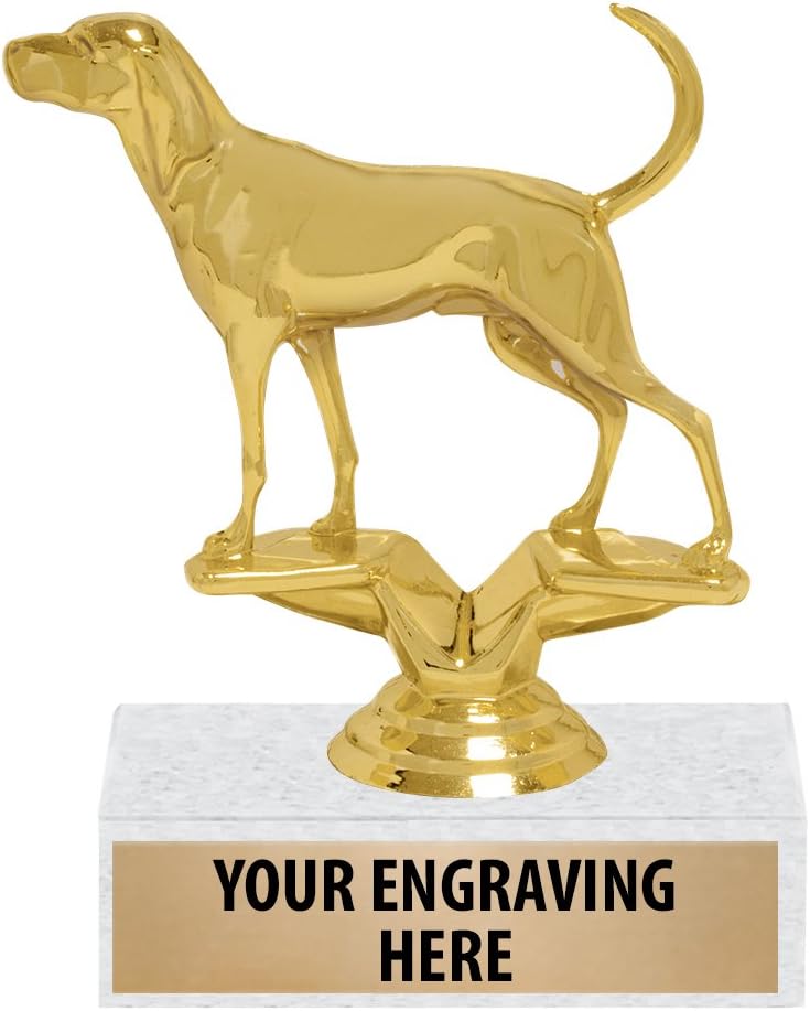 Amazon.com : Dog Trophies - 4.75" Coon Hound Dog Trophy Award : Sports ...