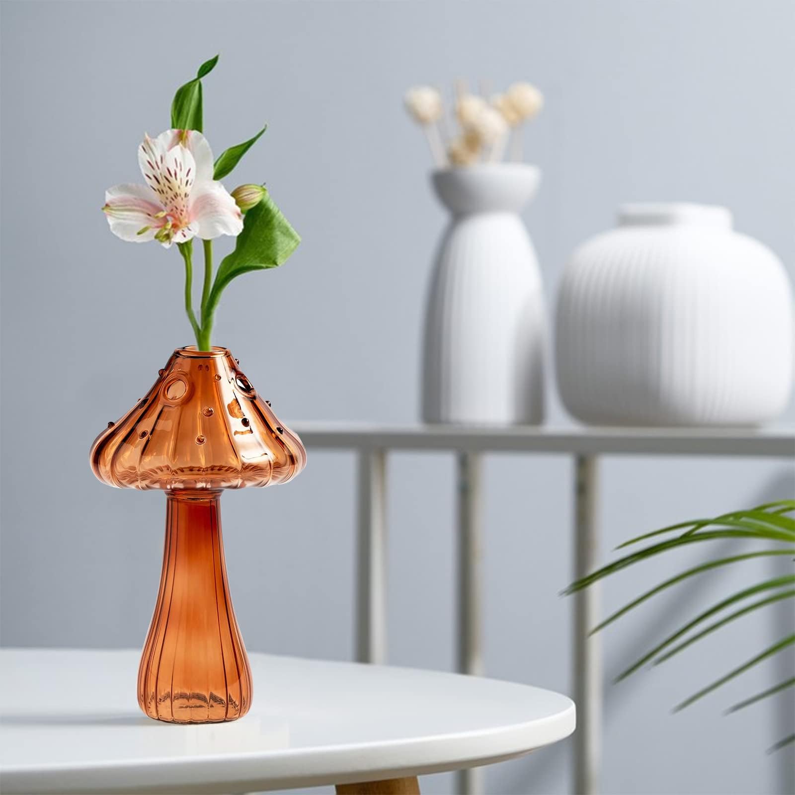 Amazon.com: NNXHWY Clear Mushroom Flower Vase,Glass Hydroponic Plant ...