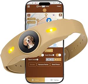 Amazon.com : GPS Wireless Dog Fence, Smart Portable Electric Dog Fence ...