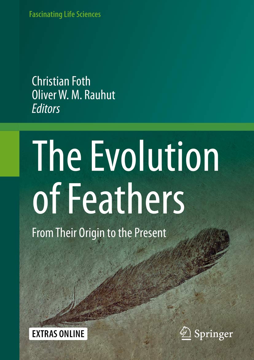 The Evolution of Feathers: From Their Origin to the Present ...