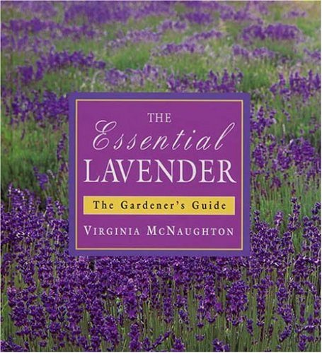 Essential Lavender : The Grower's Guide: McNaughton, Virginia ...
