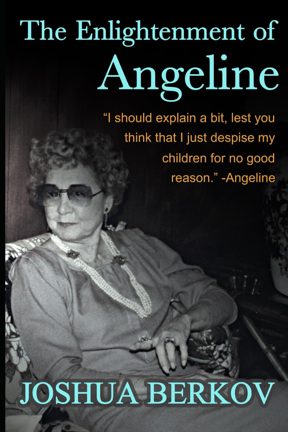 The Enlightenment of Angeline: Berkov, Joshua: 9798644635597: Amazon ...