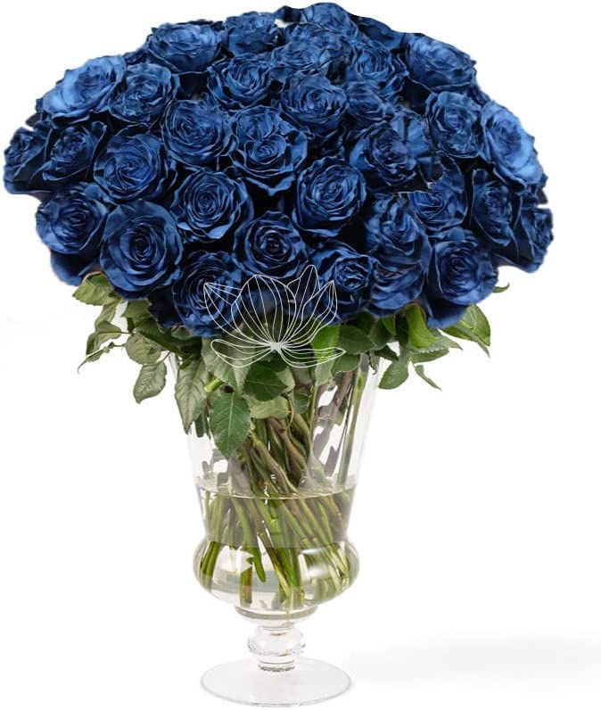 Destello De Rosa Azul Tradicional