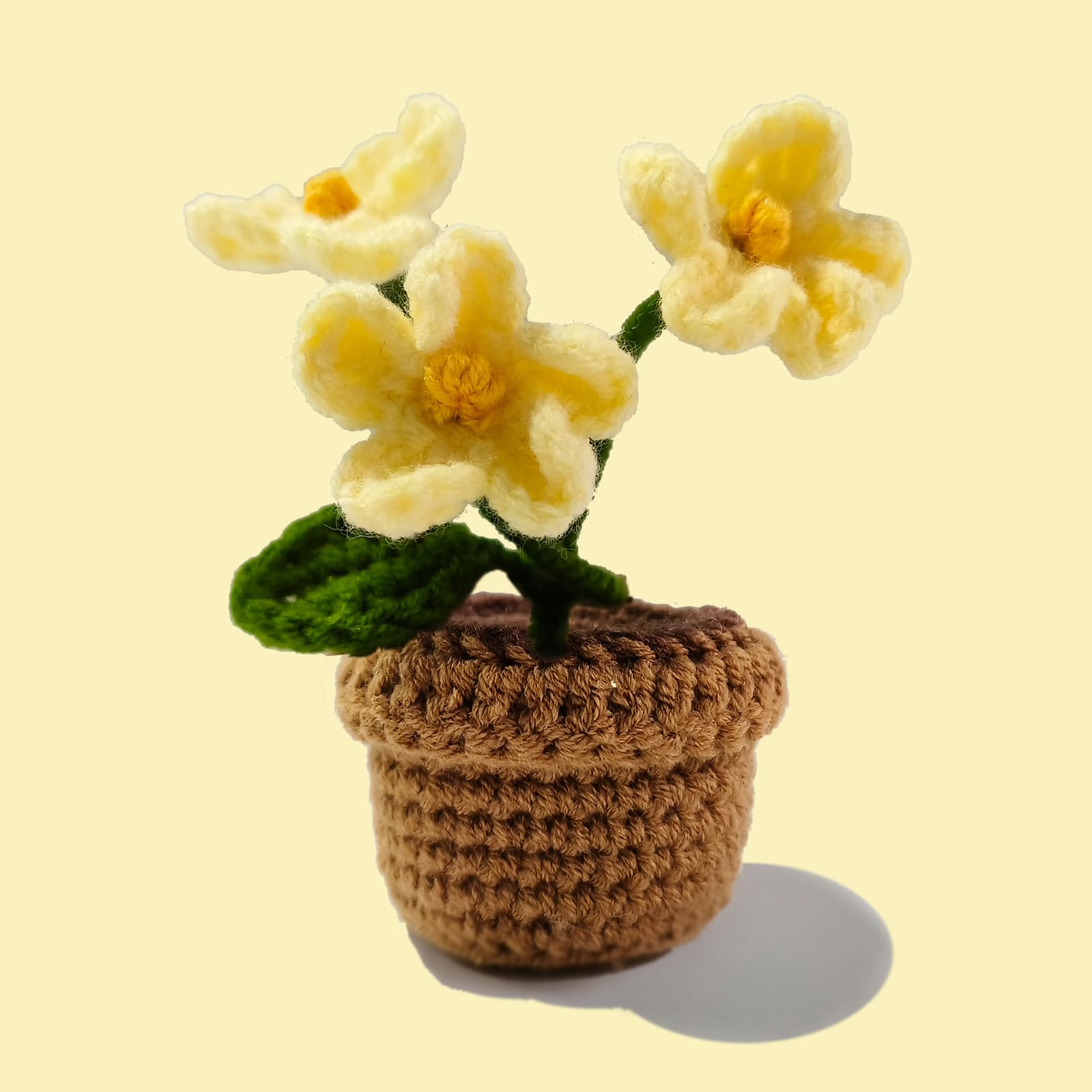 Amazon.com: Weronique Flower Crochet Kit for Beginner, Step-by-Step ...