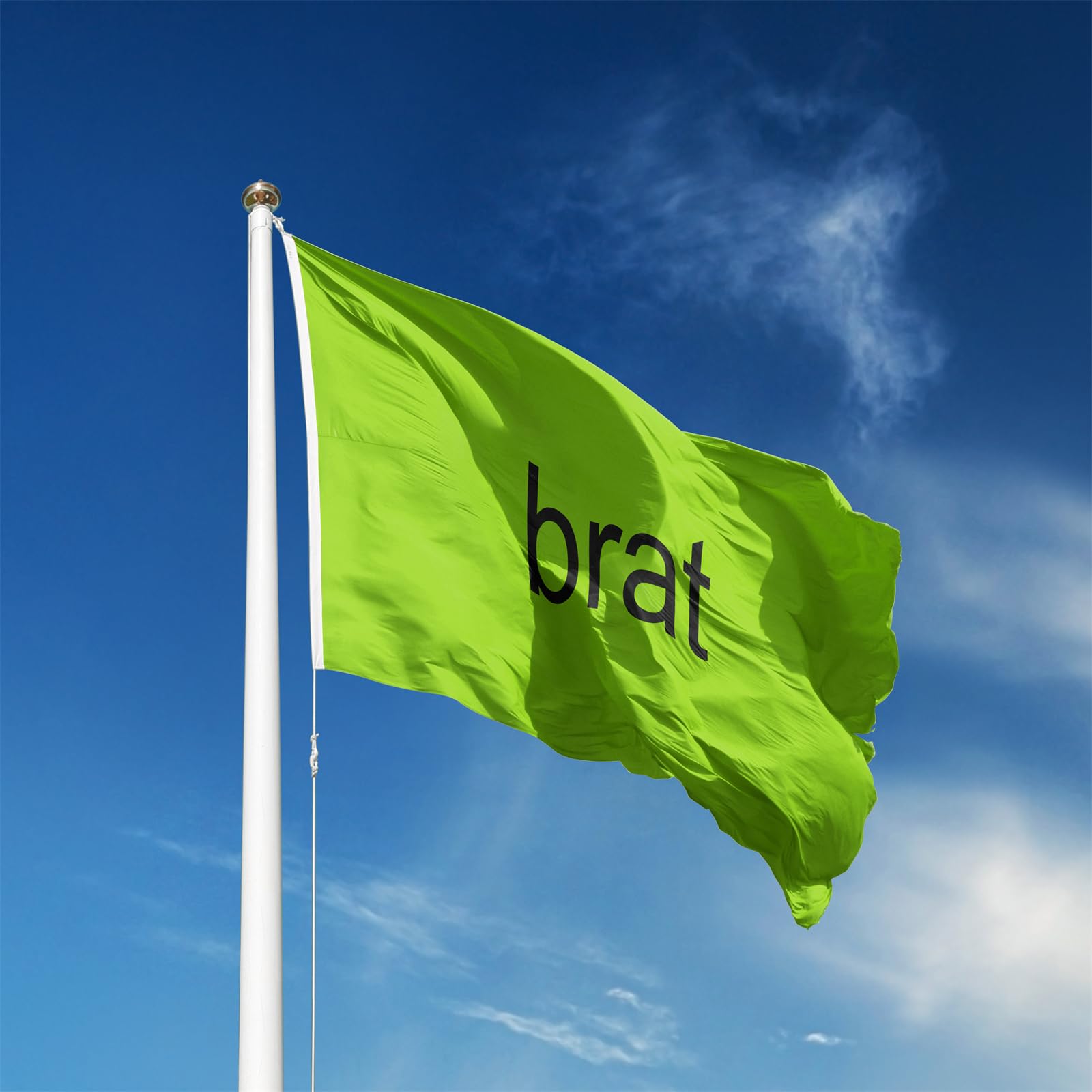 Amazon.com : Jschlatt Brat Green Flag, Banner with Brass Grommets 5' x ...