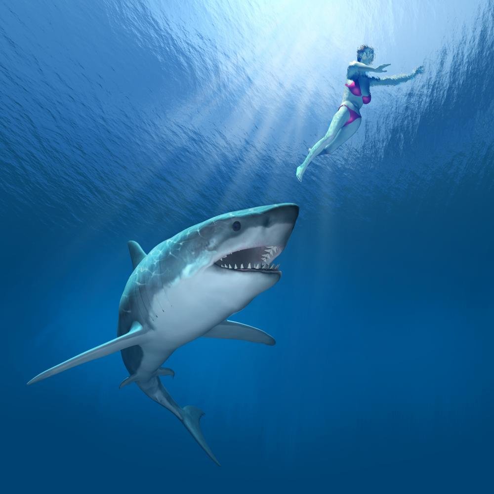 Graphic Shark Attack Photos