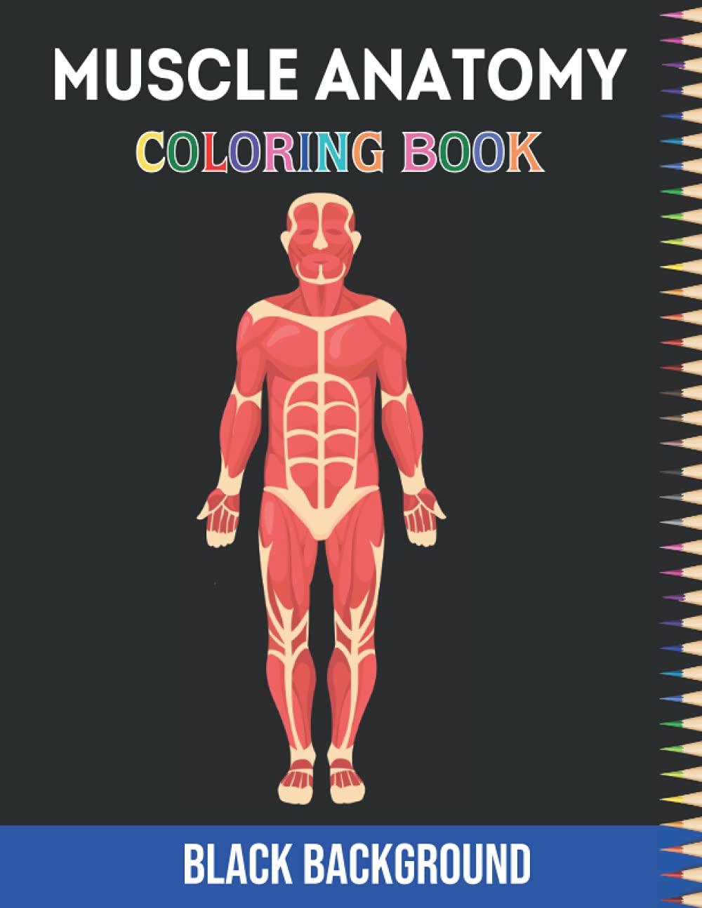 Muscle Anatomy Coloring Book Black Background Fun Way To Learn Anatomy 