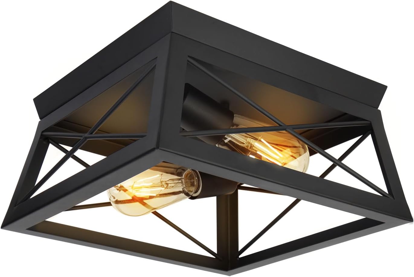2-Light Black Square Ceiling Light Fixture - 2 Bulb Caged Farmhouse ...